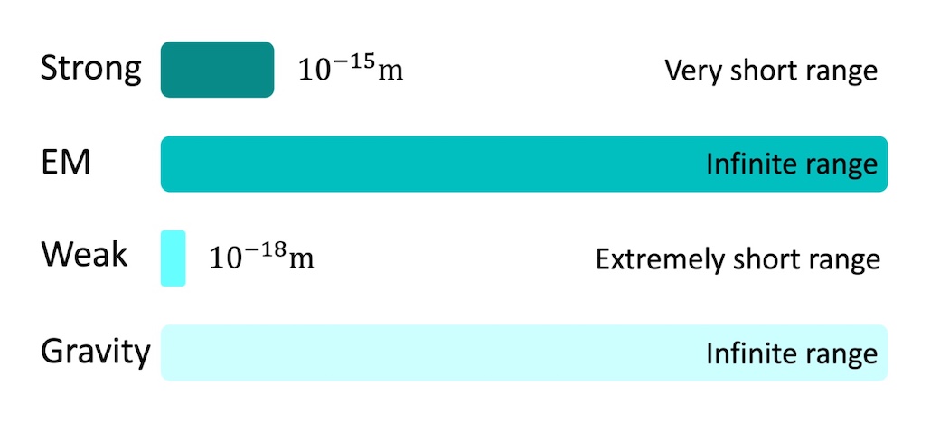 The Fundamental Forces of Nature for A Level Physics