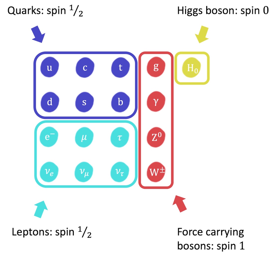 Particles & the Standard Model for A Level Physics - Science Sanctuary
