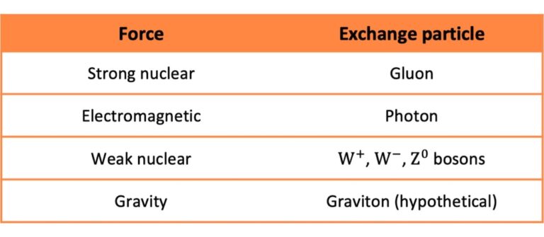 The Fundamental Forces of Nature for A Level Physics