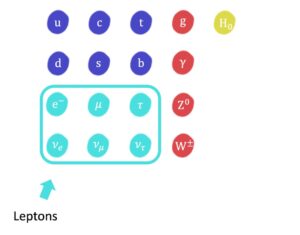 Elementary particles: quarks, leptons and elementary bosons for A Level ...