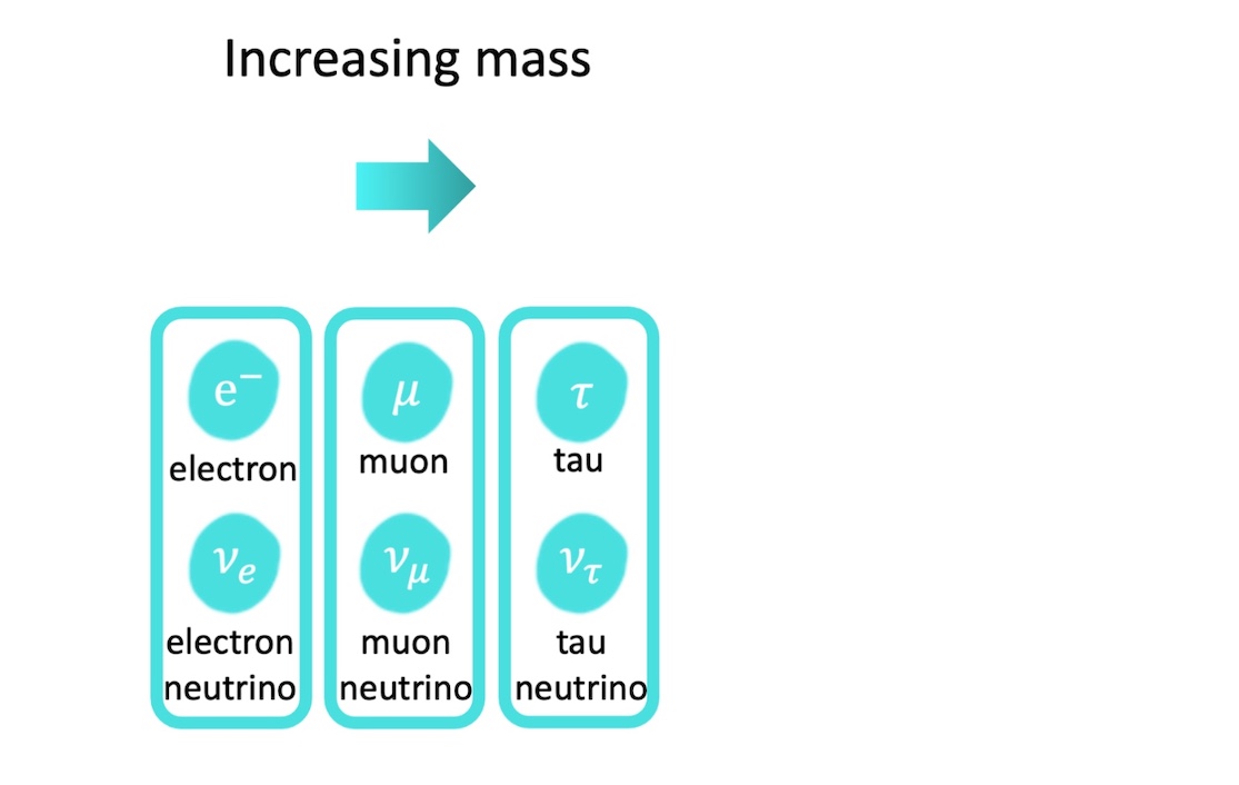 Elementary particles: quarks, leptons and elementary bosons for A Level ...