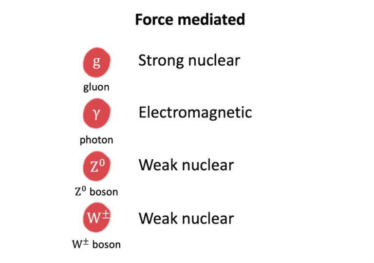 Elementary particles: quarks, leptons and elementary bosons for A Level ...